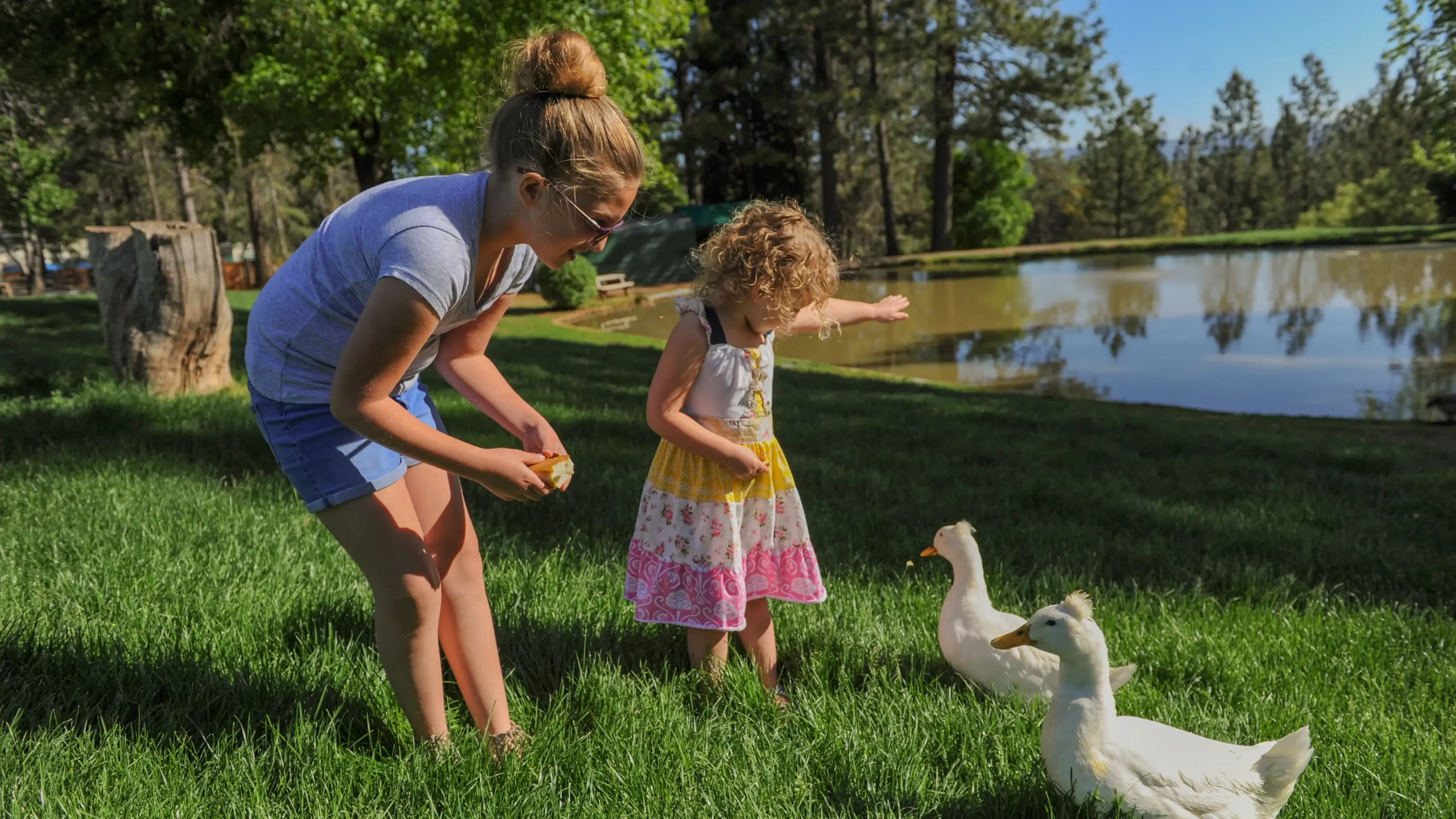 Apple Hill Activities in California - High Hill Ranch