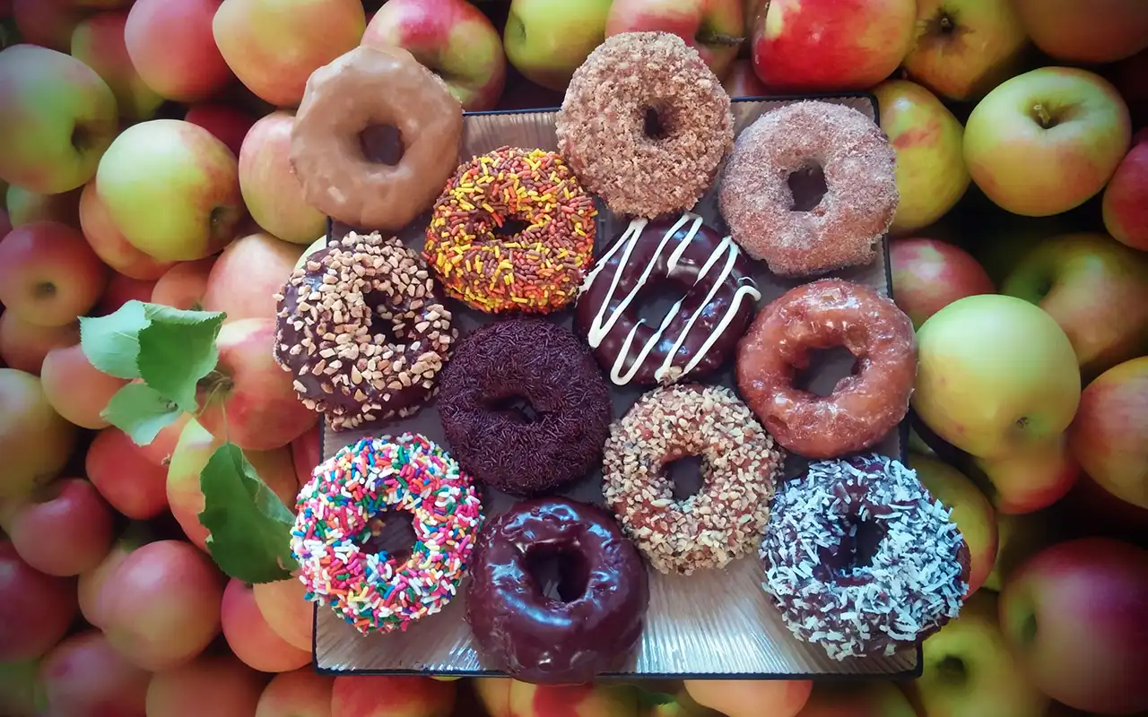 Homemade Apple Hill Donuts & Fritters - High Hill Ranch